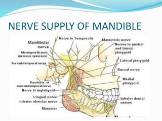 MANDIBLE PPT | PPTX
