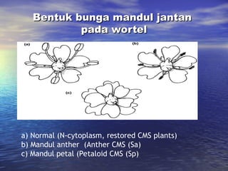 mandul jantan dan manfaatnya pada pemuliaan tanaman.ppt