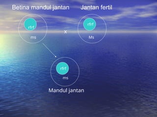 mandul jantan dan manfaatnya pada pemuliaan tanaman.ppt