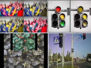 Mane i oboljenja oka | PPTX