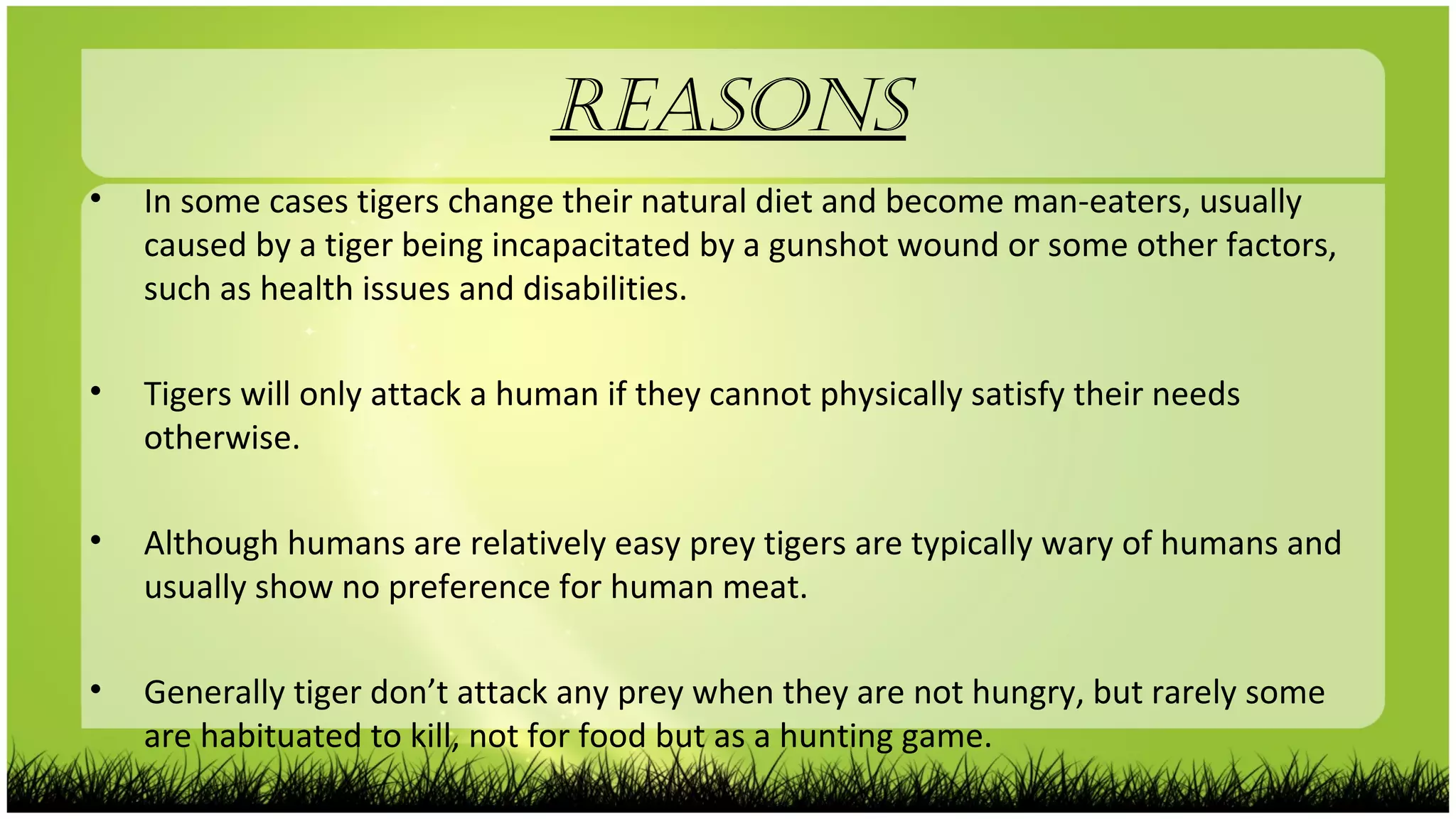 Man eating tigers of India | PPT