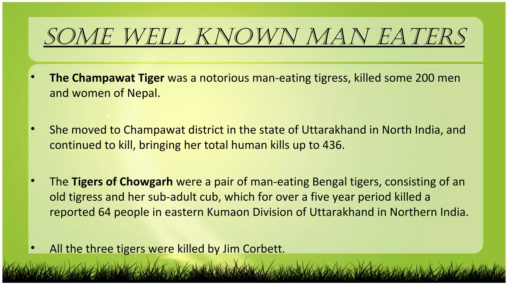 Man eating tigers of India | PPT
