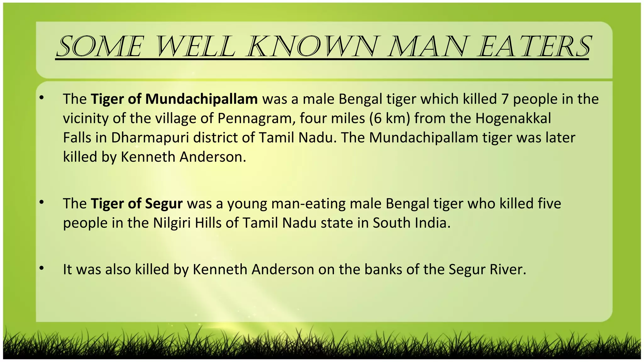 Man eating tigers of India | PPT