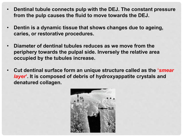 bonding to enamel & dentin | PPTX