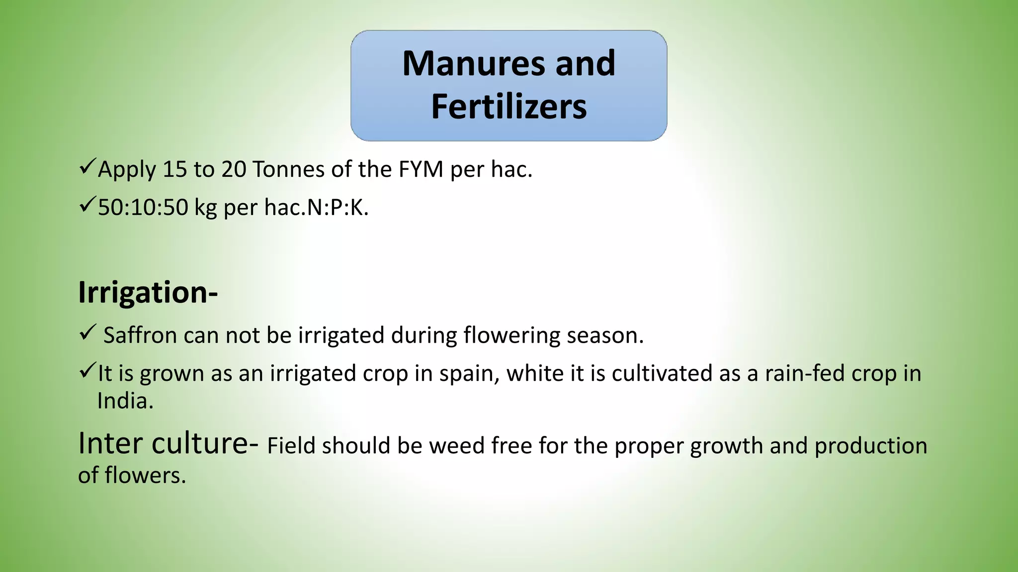 saffon, cultivation of saffron , production technology of saffron | PPTX