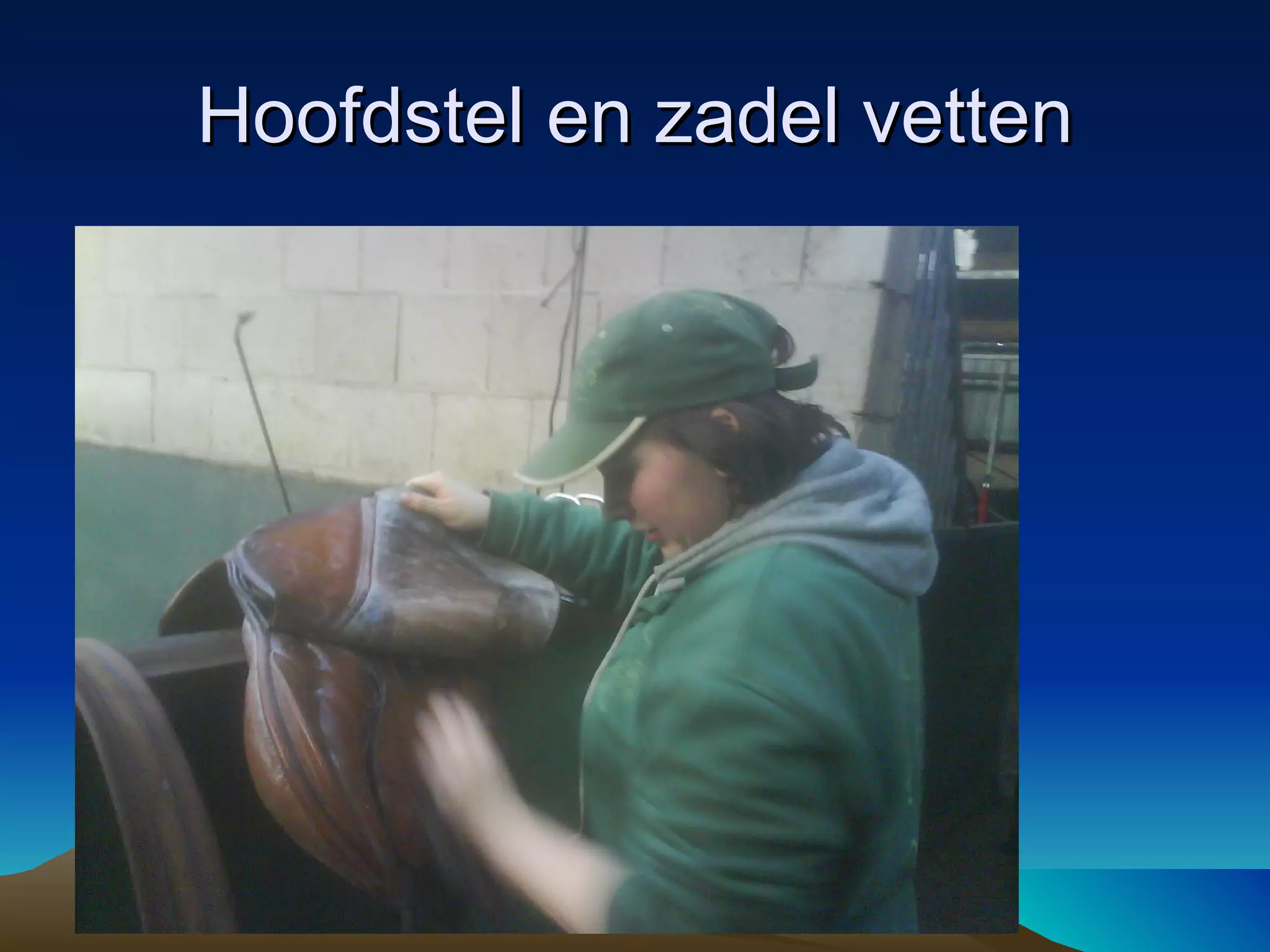 LWT Stage van Sabrina Kouw bij Manage Warnaar | PPT