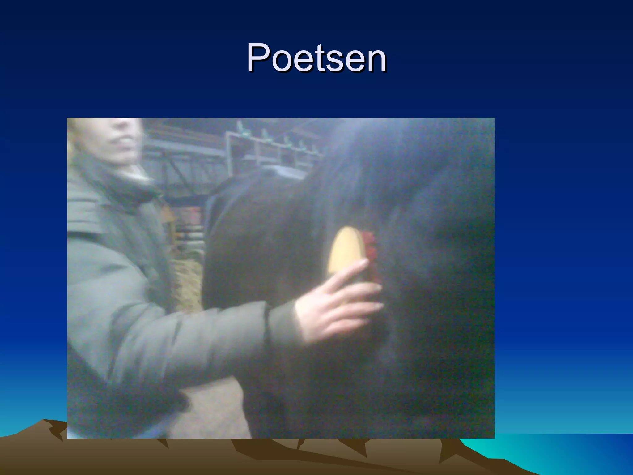 LWT Stage van Sabrina Kouw bij Manage Warnaar | PPT