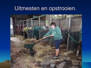 LWT Stage van Sabrina Kouw bij Manage Warnaar | PPT