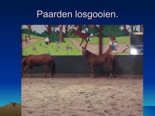 LWT Stage van Sabrina Kouw bij Manage Warnaar | PPT