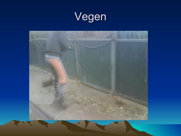 LWT Stage van Sabrina Kouw bij Manage Warnaar | PPT