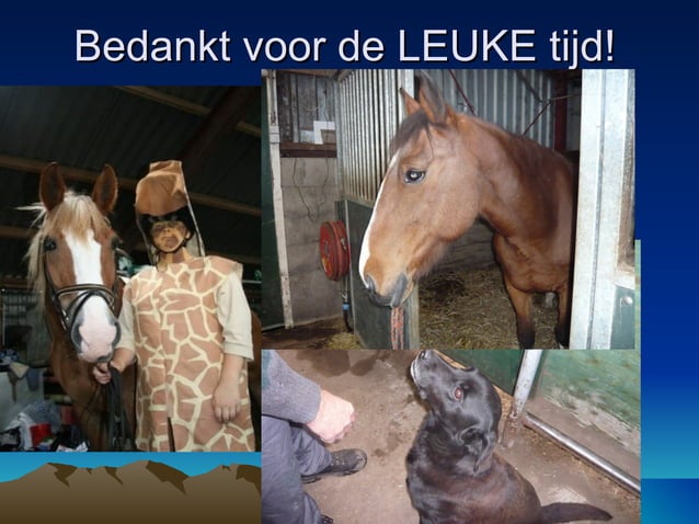 LWT Stage van Sabrina Kouw bij Manage Warnaar | PPT