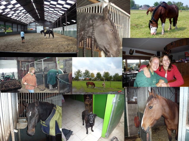 LWT Stage van Sabrina Kouw bij Manage Warnaar | PPT