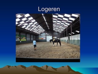 LWT Stage van Sabrina Kouw bij Manage Warnaar | PPT