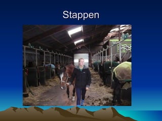 LWT Stage van Sabrina Kouw bij Manage Warnaar | PPT