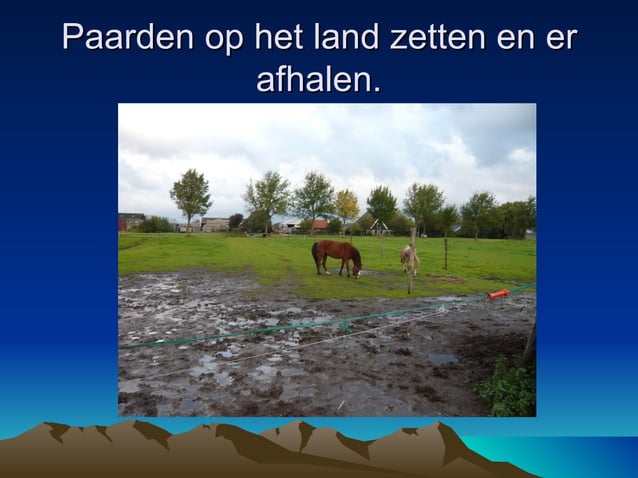 LWT Stage van Sabrina Kouw bij Manage Warnaar | PPT