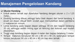 penggemukan sapi potong bahan mata kul.pptx