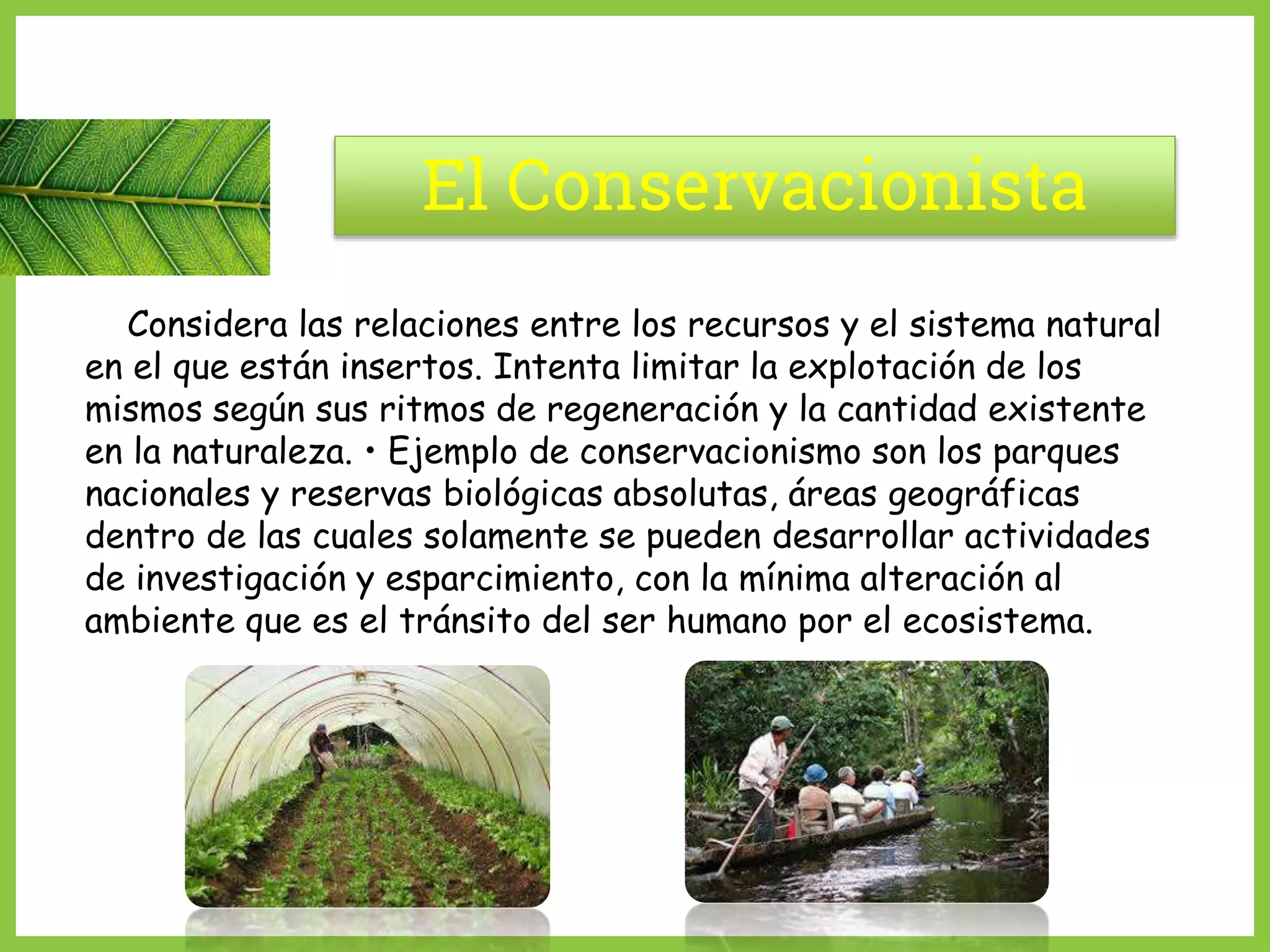 Manejo de-los-recursos-naturales-para-la-conservacion-del-ecosistema ...