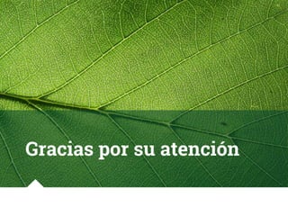 Manejo de-los-recursos-naturales-para-la-conservacion-del-ecosistema ...