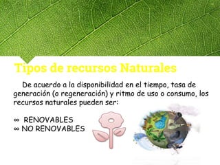 Manejo de-los-recursos-naturales-para-la-conservacion-del-ecosistema ...