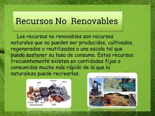 Manejo de-los-recursos-naturales-para-la-conservacion-del-ecosistema ...