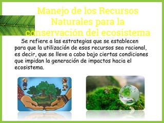 Manejo de-los-recursos-naturales-para-la-conservacion-del-ecosistema ...