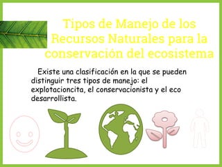 Manejo de-los-recursos-naturales-para-la-conservacion-del-ecosistema ...