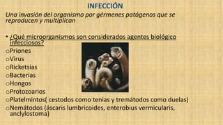 Manejo de-rpbi | PPTX