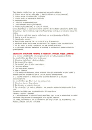 Manejo de cerdas reproductoras | DOC