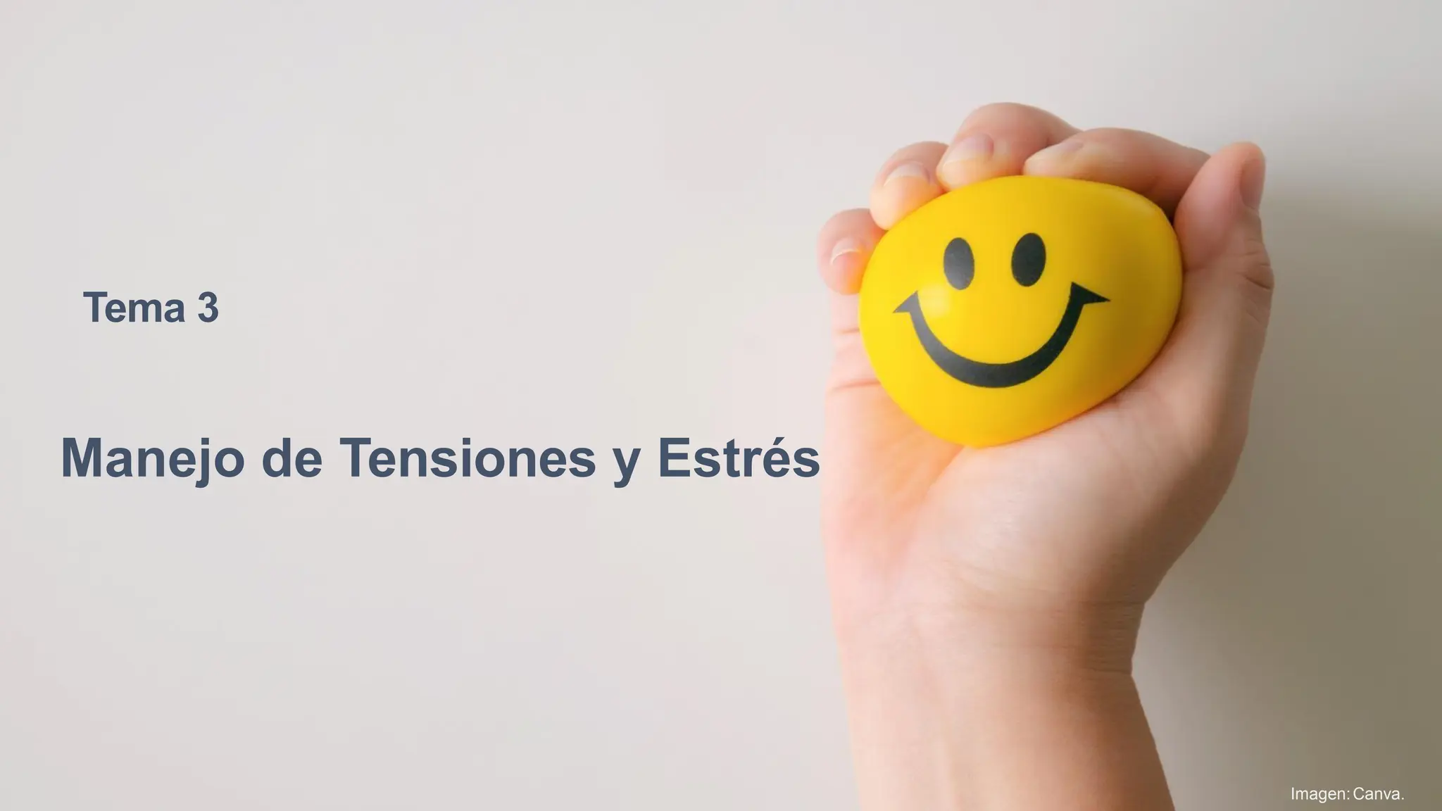 MANEJO DE ESTRES.pdf