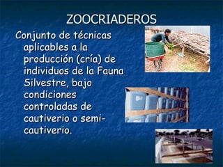 Manejo de fauna silvestre | PPT