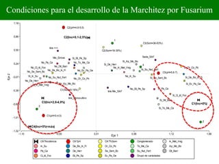 Manejo de fusarium platano | PDF