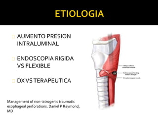 Manejo de la perforacion esofagica | PPTX