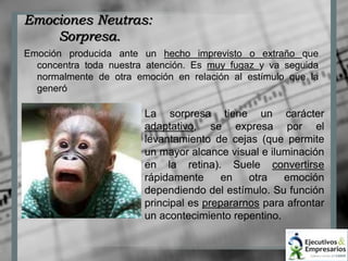 Manejo de las emociones Sorpresa, esperanza y compasión | PPTX