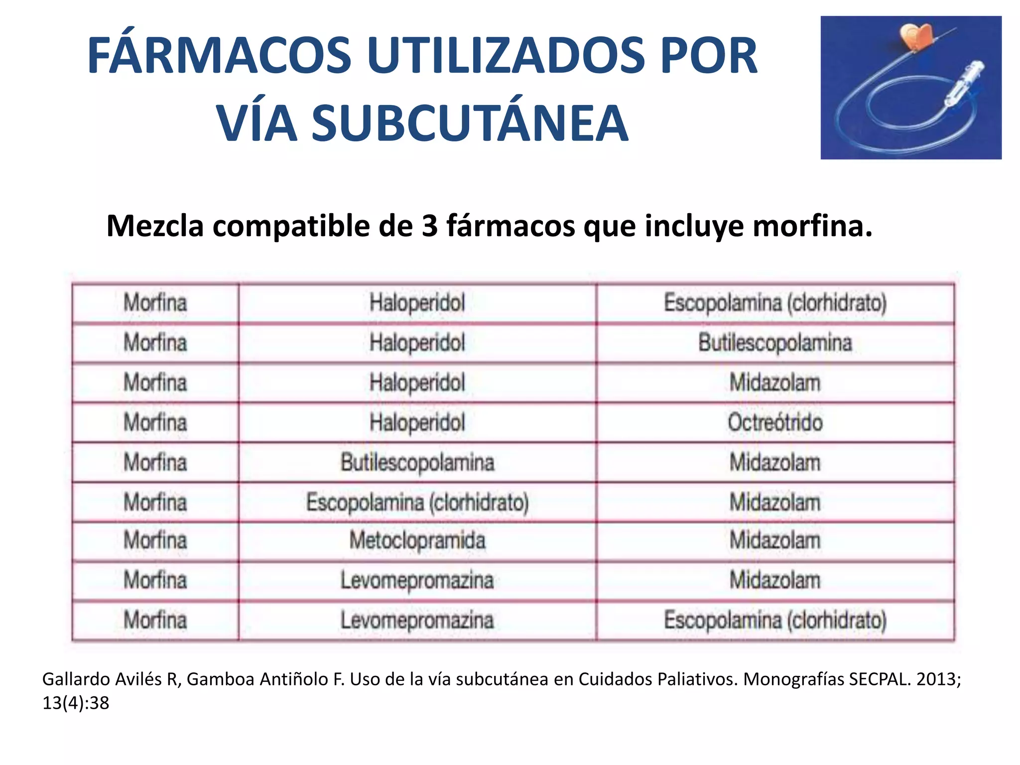 Manejo de la vía subcutánea en atención primaria | PPTX