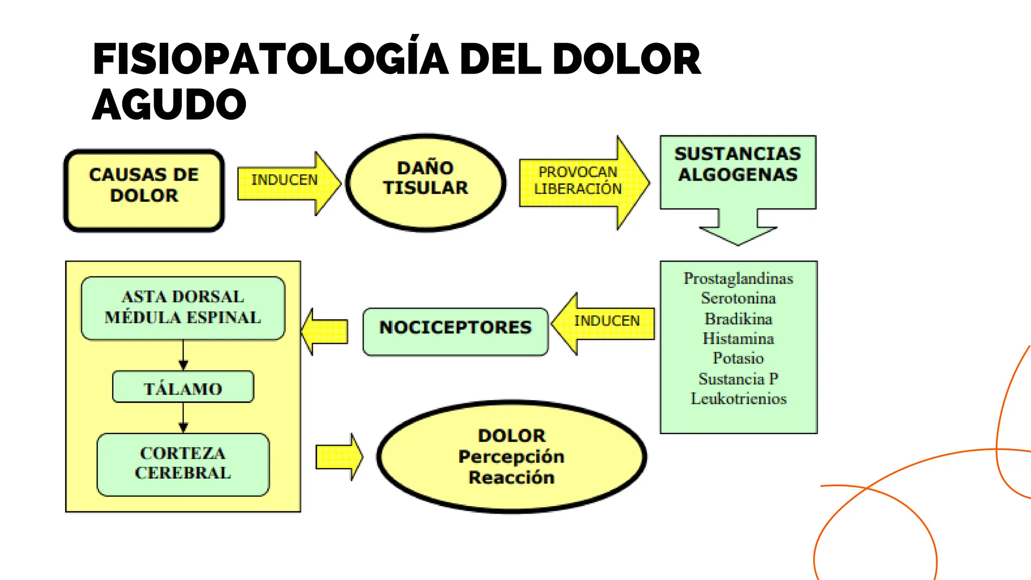 MANEJO DEL DOLOR AGUDO, DEFINICION Y TRATAMIENTO | PDF