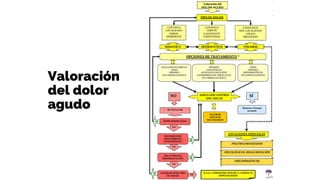 MANEJO DEL DOLOR AGUDO, DEFINICION Y TRATAMIENTO | PDF