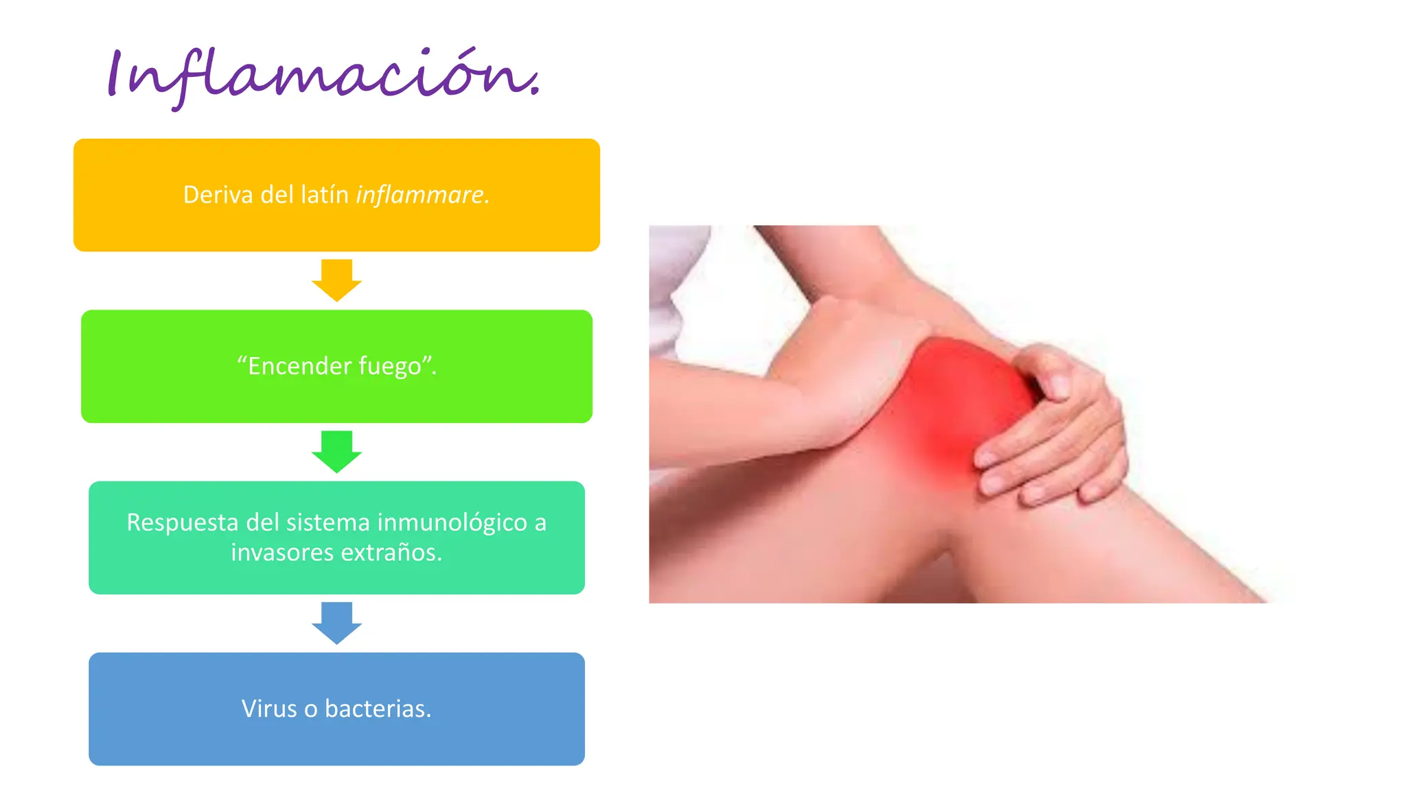 Manejo del dolor e inflamación en farmacologia..pdf