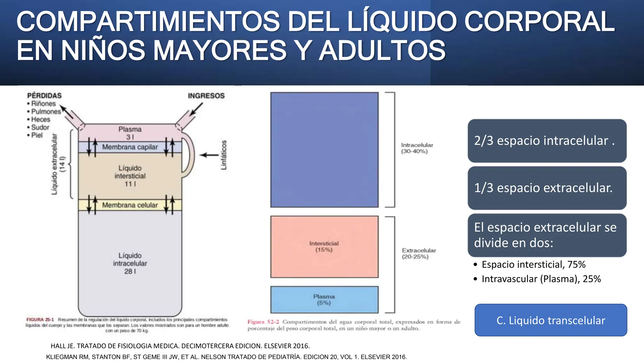 Manejo de liquidos en pediatria. Luis Suárez Bravo ...pptx