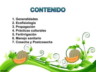 MANEJO_DEL_MELON_COMPLETO.pptx