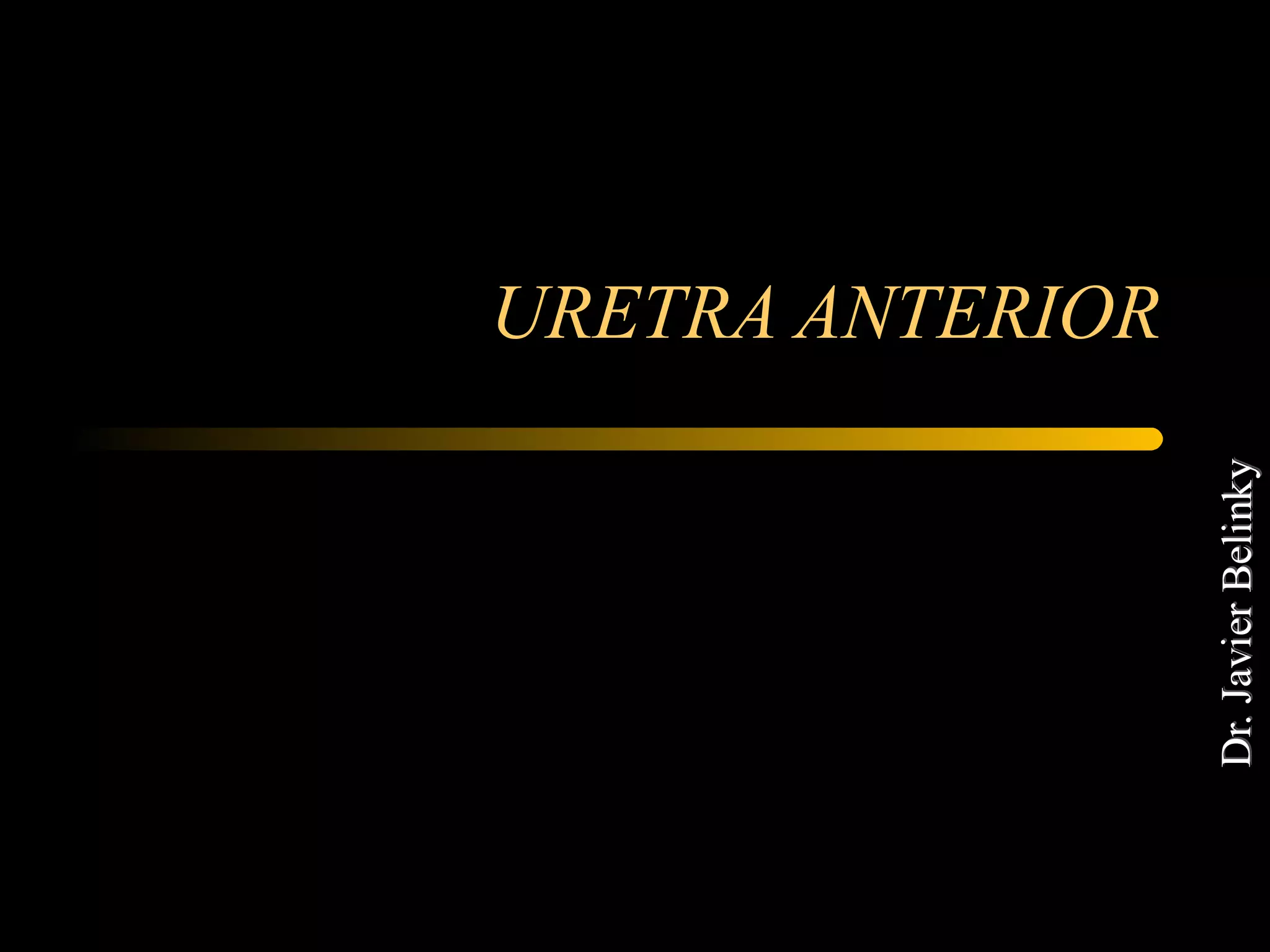 Management of acute urethral trauma (Manejo del trauma uretral agudo) | PDF