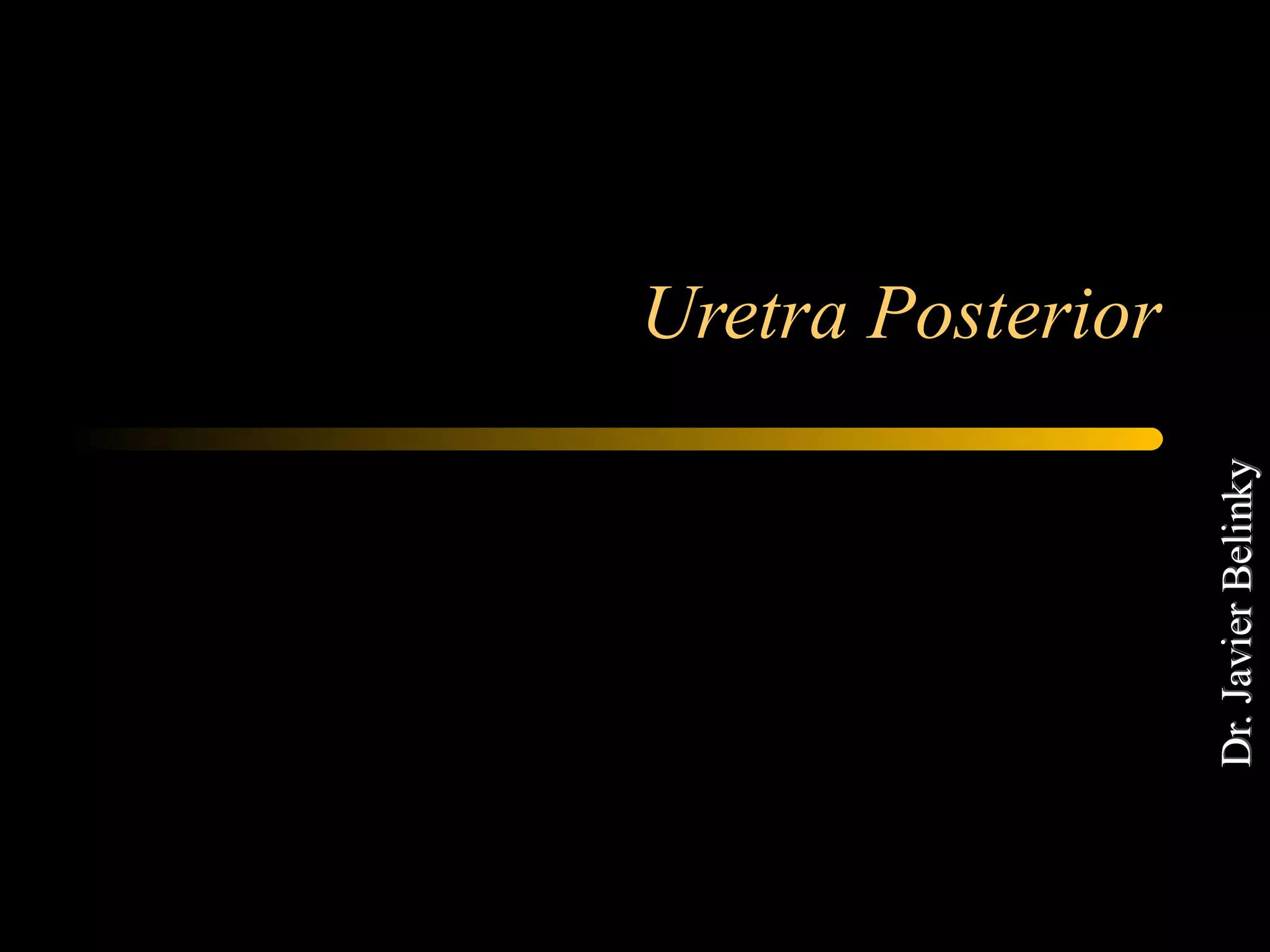 Management of acute urethral trauma (Manejo del trauma uretral agudo) | PDF