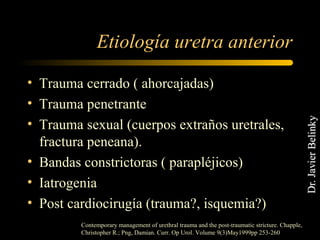 Management of acute urethral trauma (Manejo del trauma uretral agudo) | PDF