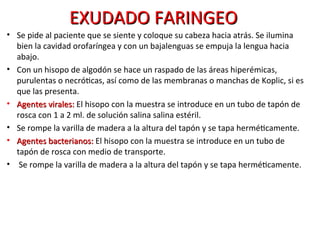 Manejo de muestras biologicas - M Gatty.ppt