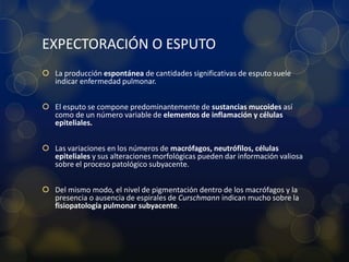 Manejo de muestras para citología pulmonar | PPTX