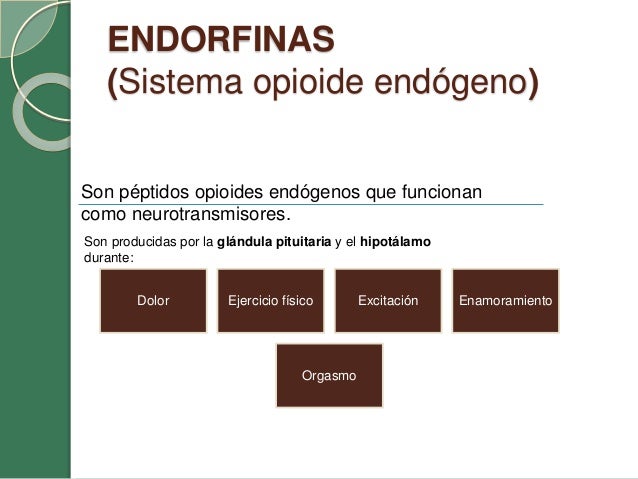 Opioides Endogenos