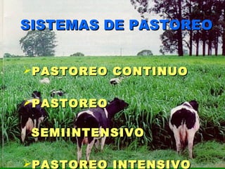 Manejo de pasturas tropicales | PPT