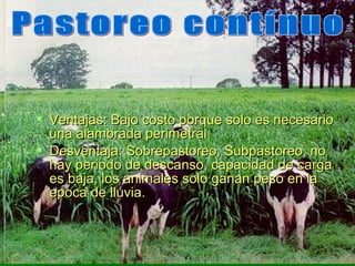 Manejo de pasturas tropicales | PPT