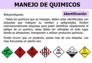 Manejo de Quimicos y Residuos productos peligrosos | PPT