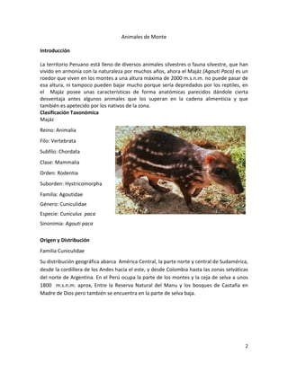 Manejo de zoocriadero de majáz | PDF