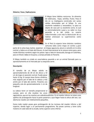 Manejo de zoocriadero de majáz | PDF